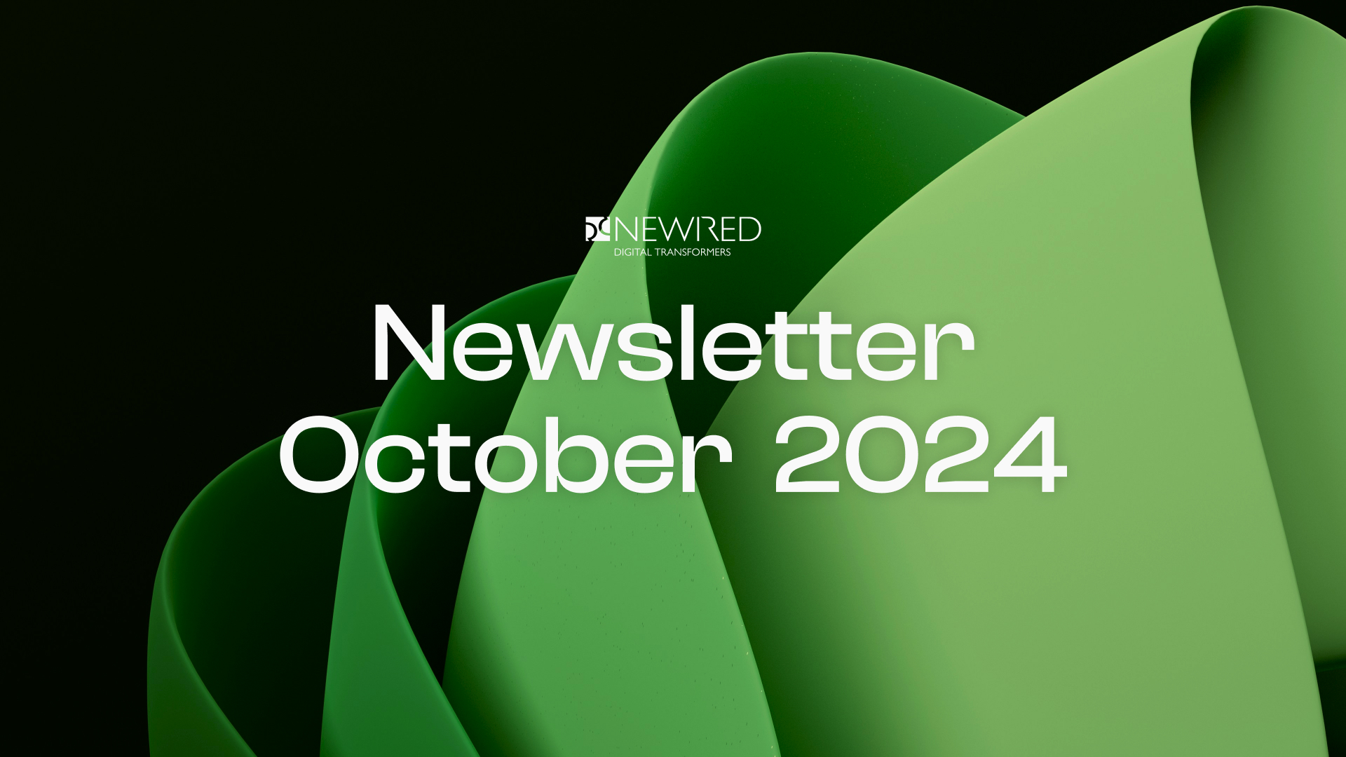 Newsletter October 2024 - Newired
