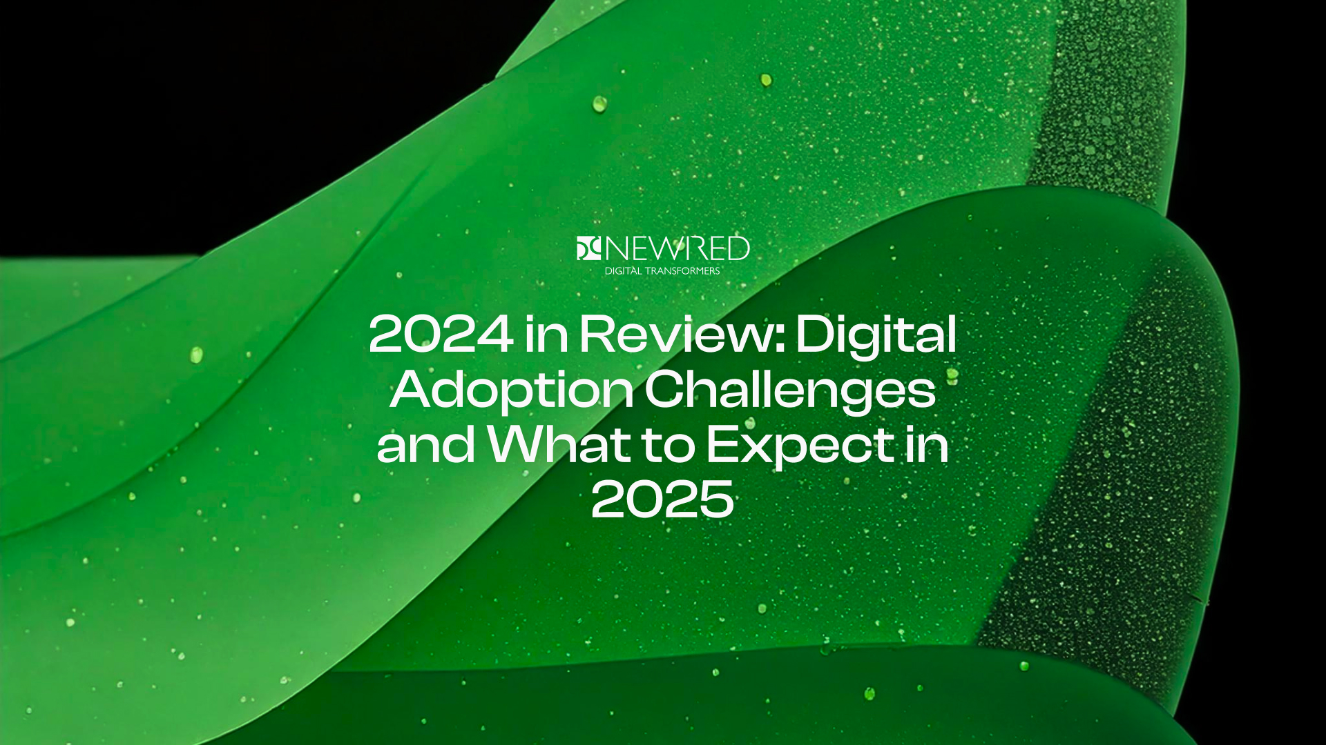 2024 in Review: Digital Adoption Challenges and What to Expect in 2025 ...