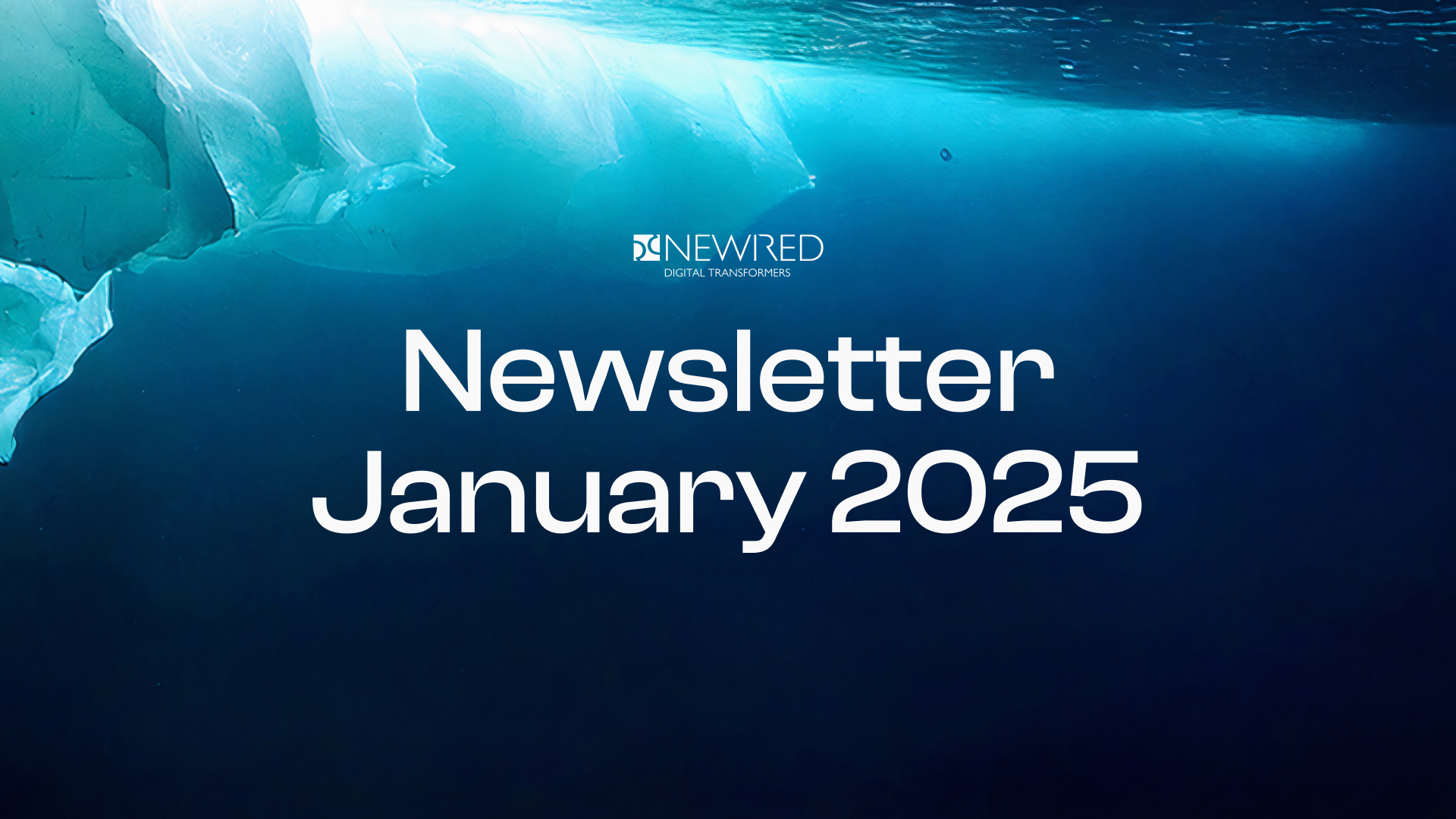 Newsletter January 2025 - Newired