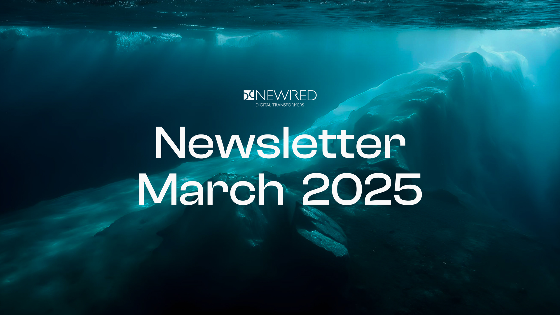 Newsletter March 2025 - Newired